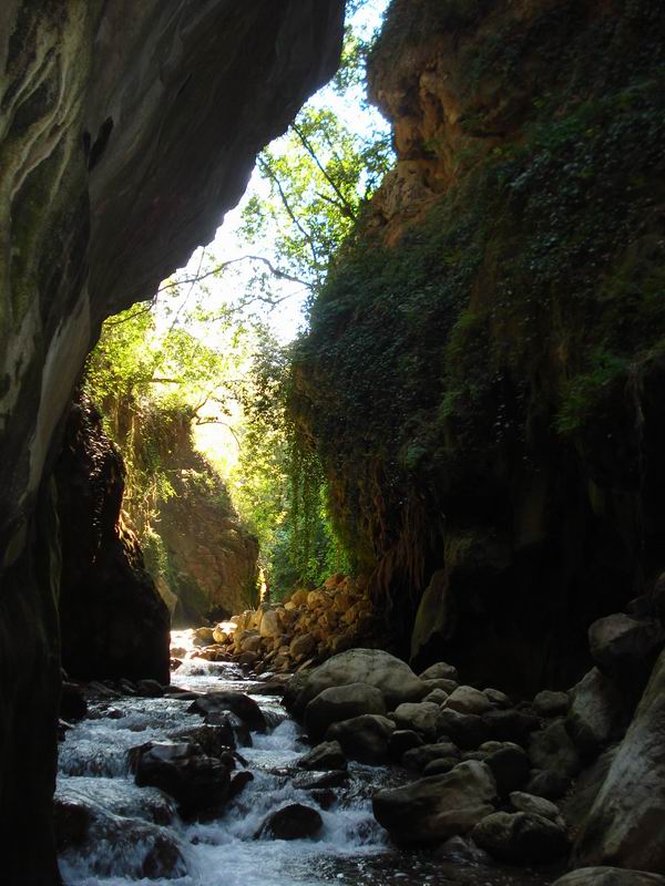 Νομός Ηλείας. "Διασχίζοντας την όμορφη Νέδα, το ποτάμι γένους θηλυκού ...